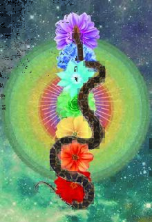 Snake-Chakras | Book Of Shadows