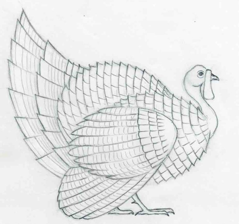 Turkeys For Kids To Color | Coloring Pages