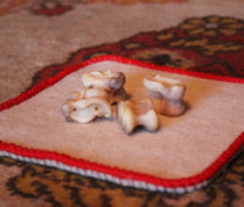 Shagai – Throwing The Bones | Divination