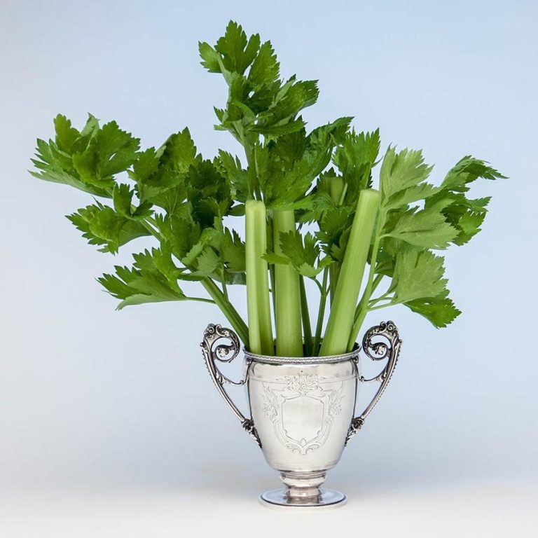 Celery | Encyclopedia Of Herbology