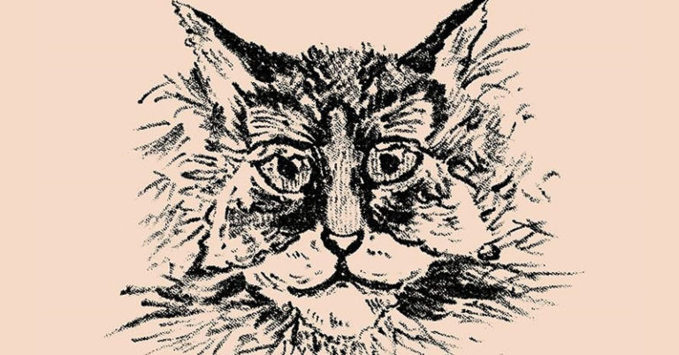 The Splinter Cat | It's A Cat Astrophe