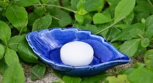 camphor in a dish | Magickal Ingredients