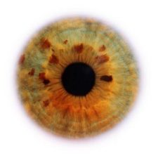 EyeScapes – An Amazing Collection | Mandala Madness