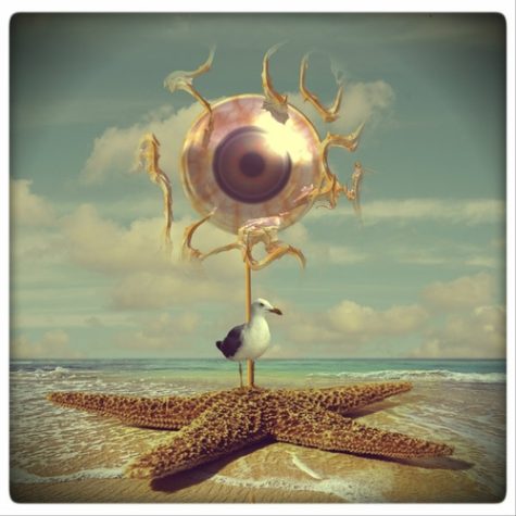 Surreal At The Beach | More Cool Pictures