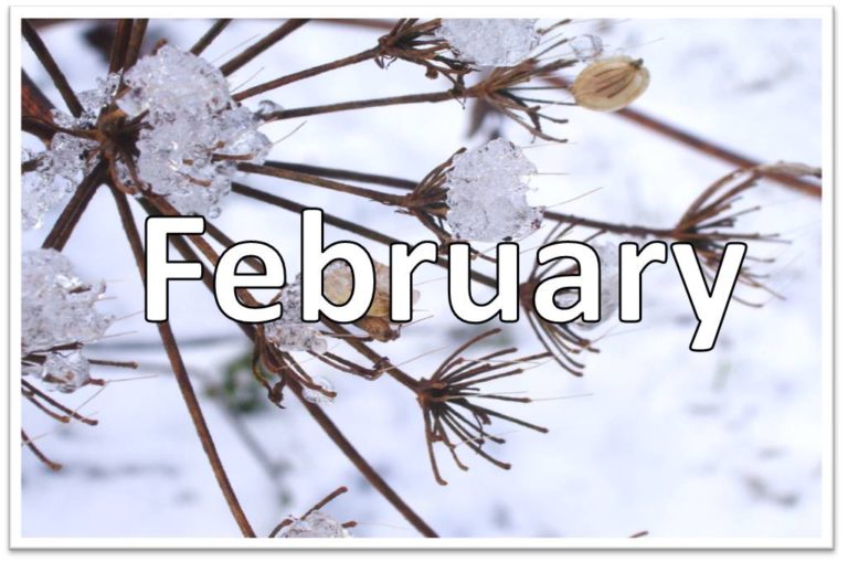 February Magick and Lore | Pagan Calendar