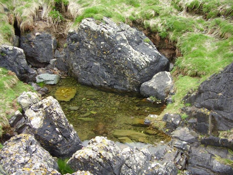 St Dwynwen’s Well | Pagan Calendar