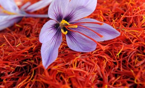 Saffron | Sigils Symbols and Signs