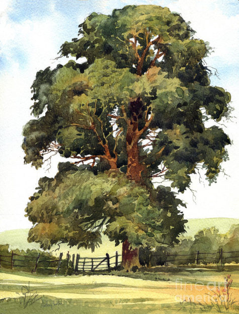 Sign of the Elm Tree | Sigils Symbols and Signs