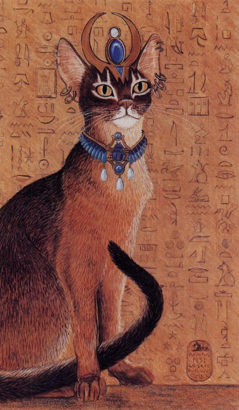 Cat Symbolism and Lore | Sigils Symbols and Signs