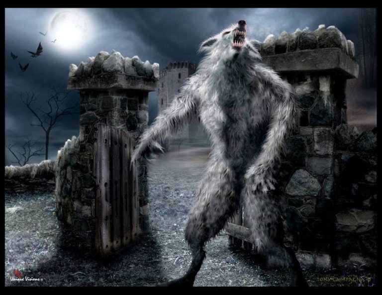 Another Case of Lycanthropy | Widdershins